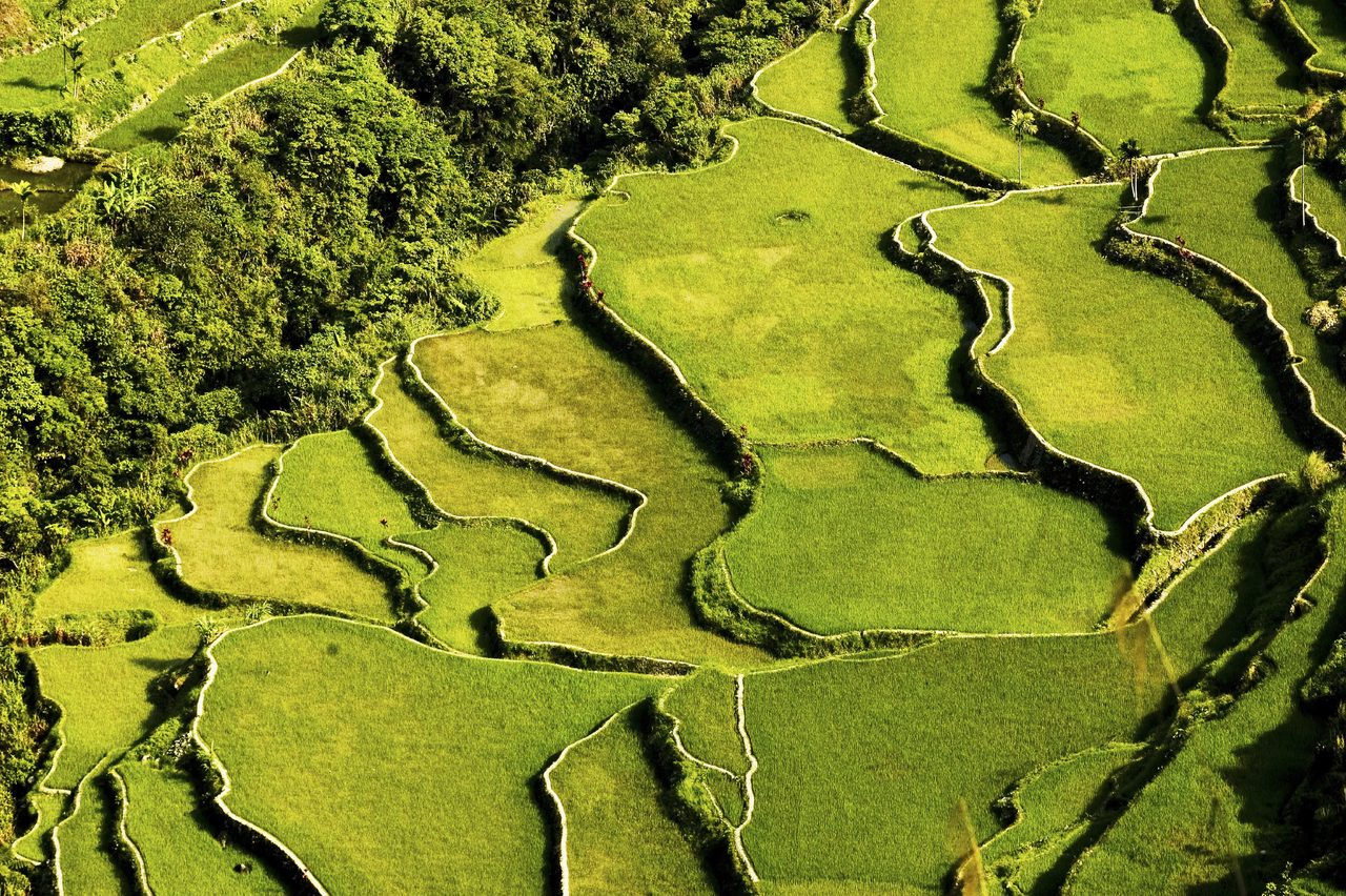 Manila, Filipíny, Asie, Destinácie, Plavby loďou po celom svete | PT Tours