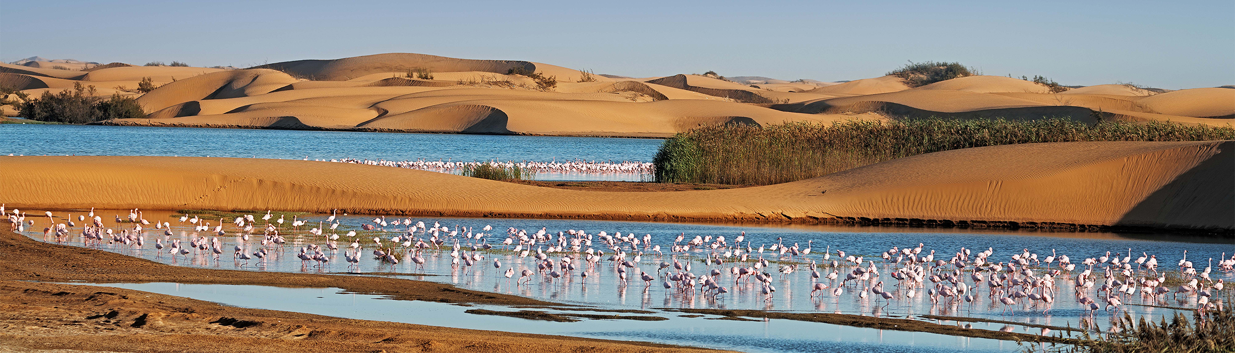 Walvis Bay, Namíbia, Afrika, Destinácie, Plavby loďou po celom svete ...